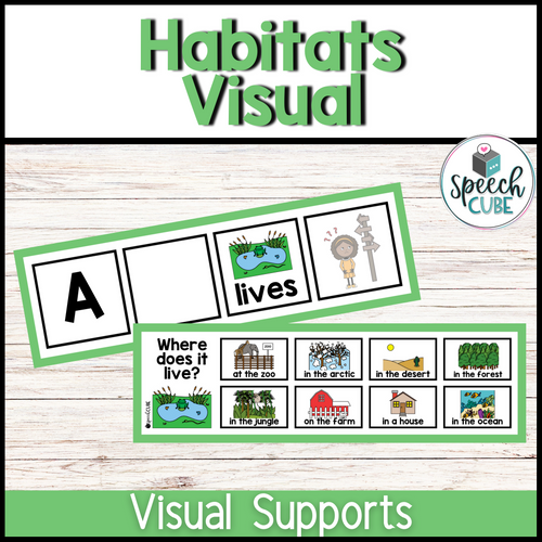 Visual Supports – Speech Cube